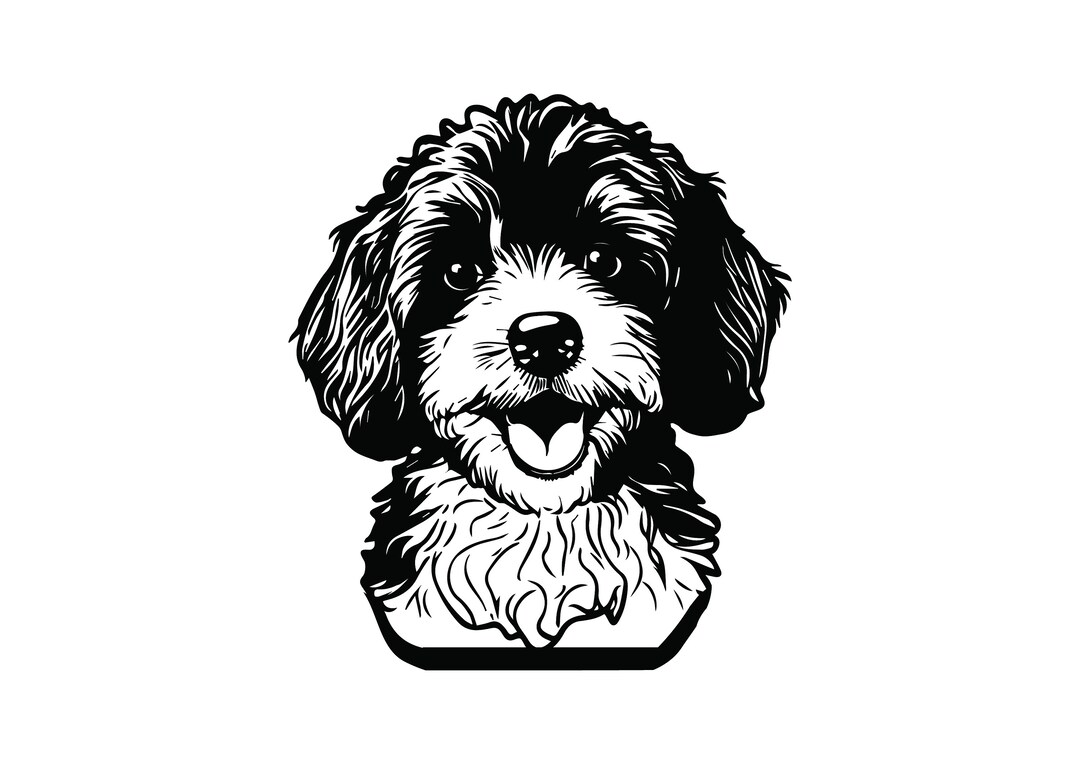 CAVAPOO HEAD SVG, Cavapoo Head Clipart, Cavapoo Head Svg Files for ...