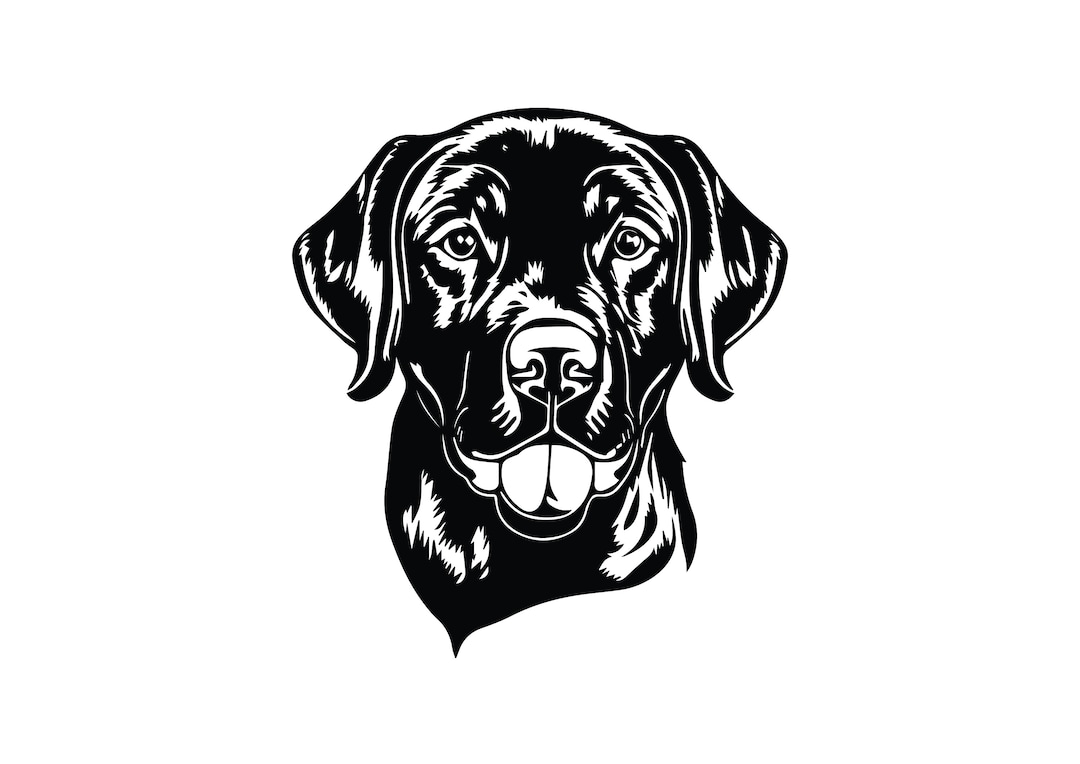 LABRADOR RETRIEVER SVG, Labrador Retriever Clipart, Labrador Retriever ...