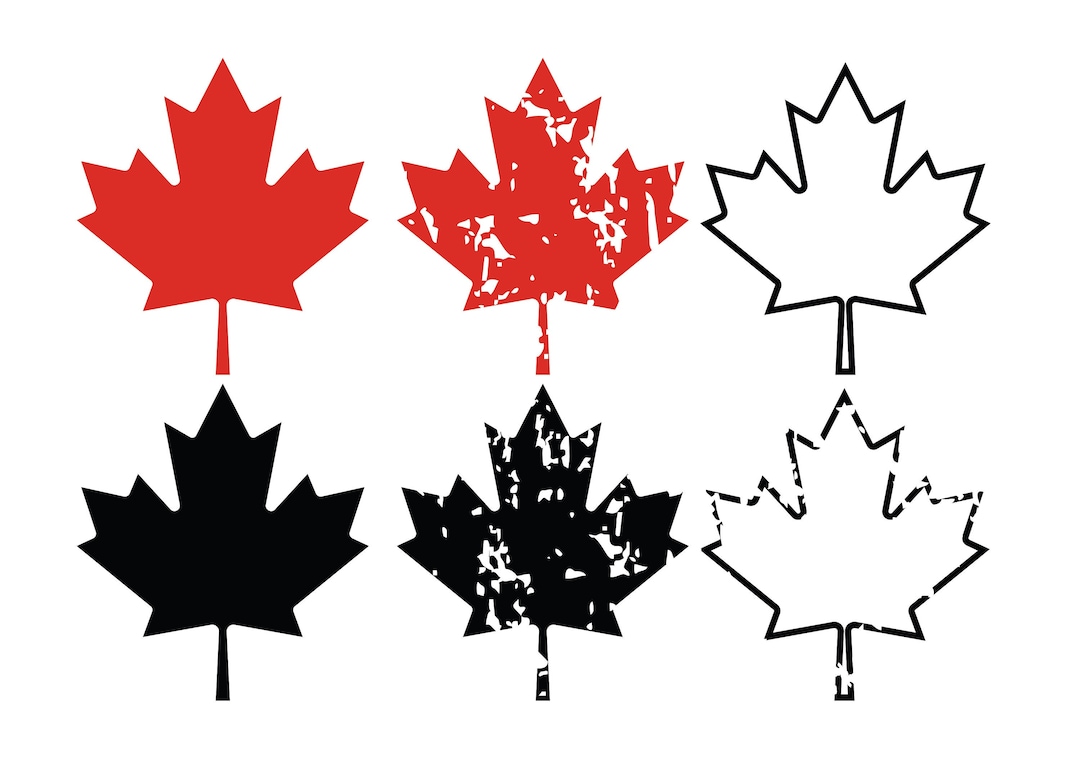 CANADIAN MAPLE LEAF Svg, Distressed Maple Leaf Svg, Maple Leaf Outline ...