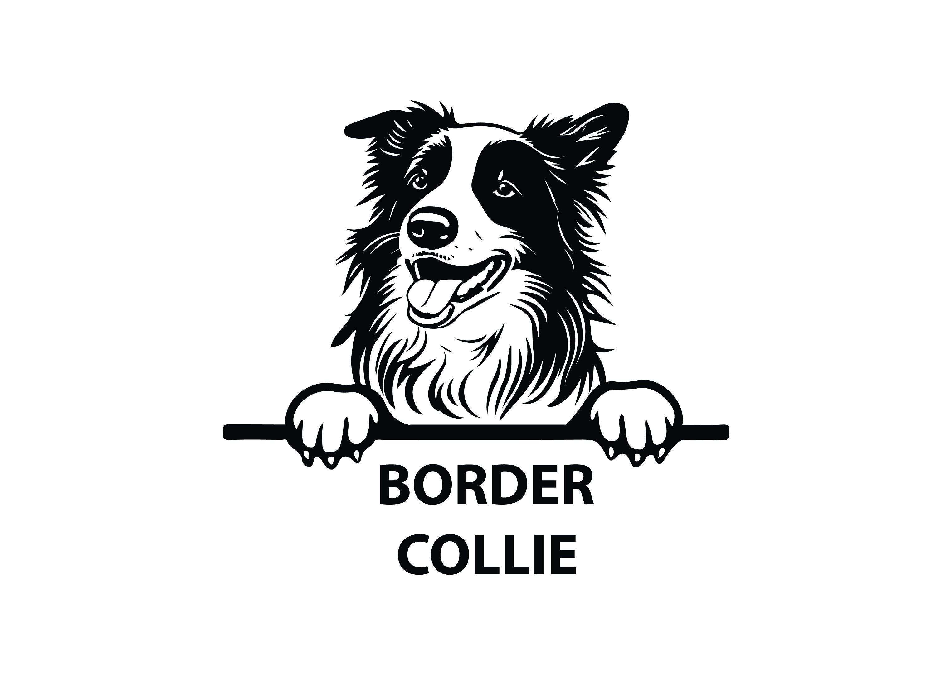Border Collie Logo