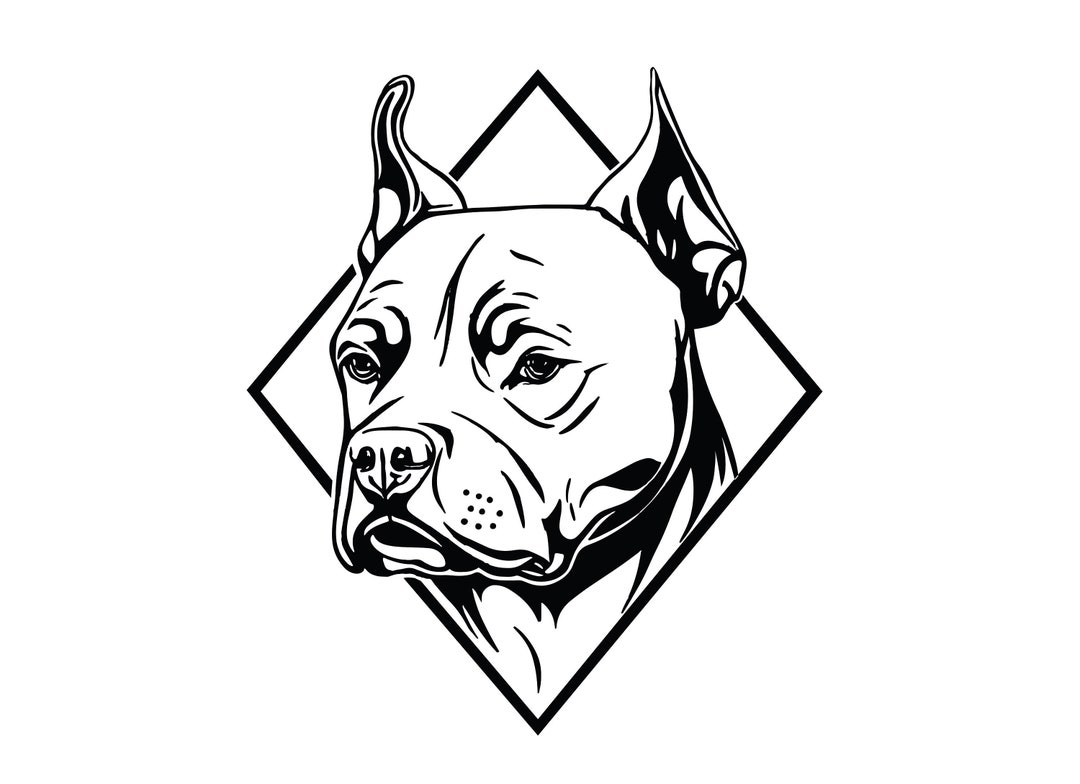 PITBULL SVG, PITBULL Clipart, Pitbull Svg Files for Cricut, Pitbull ...