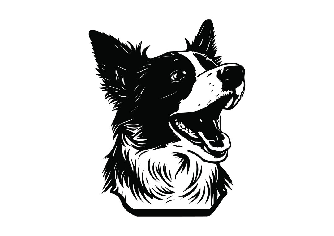 BORDER COLLIE HEAD Svg, Border Collie Head Clipart, Border Collie Head ...