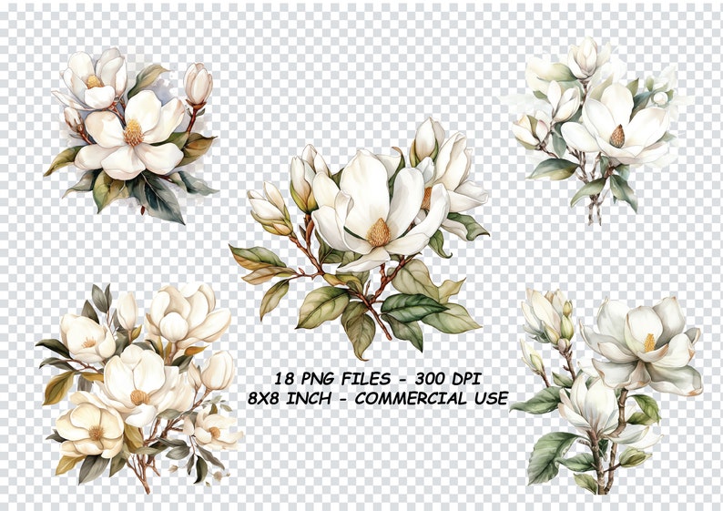 MAGNOLIA FLOWER WATERCOLOR Clipart, Magnolia Flower Watercolor Png ...
