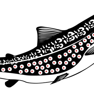Trout, Trout SVG, SVG, Trout SVG Files, Cricut, Silhouette Cameo ...
