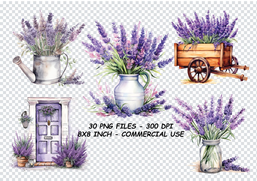 WATERCOLOR LAVENDER GARDEN Clipart, Lavender Clipart Png, Commercial ...