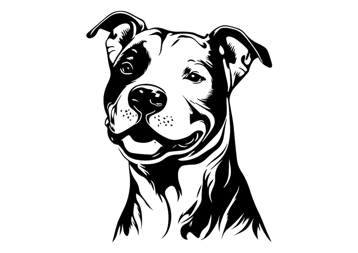 PITBULL SVG, PITBULL Clipart, Pitbull Svg Files for Cricut, Pitbull ...