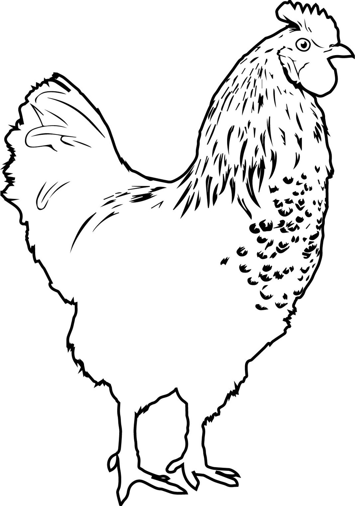 Hen Hen SVG Hen SVG Files SVG Files Cricut Silhouette - Etsy