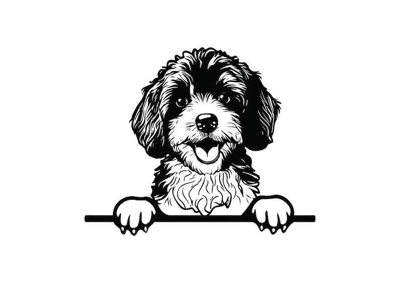 PEEKING CAVAPOO SVG Peeking Cavapoo Clipart Peeking Cavapoo - Etsy