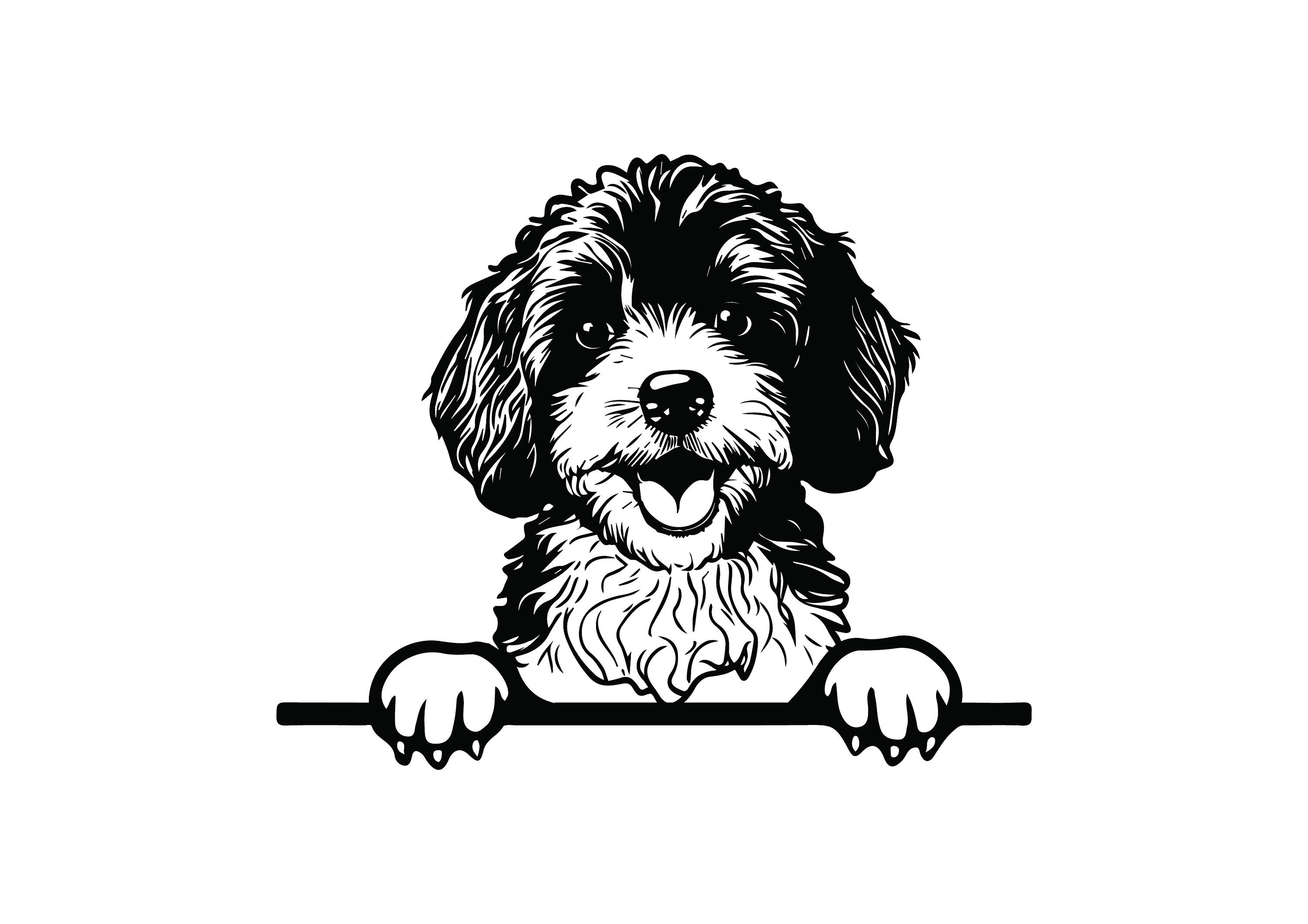 PEEKING CAVAPOO SVG Peeking Cavapoo Clipart Peeking Cavapoo - Etsy ...