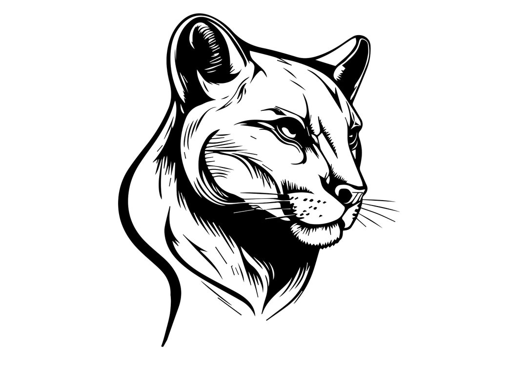 COUGAR HEAD SVG, Cougar Clipart, Cougar Head Svg Cut File for Cricut ...