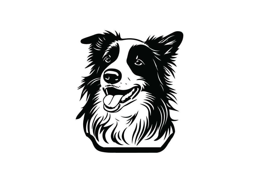 BORDER COLLIE HEAD Svg, Border Collie Head Clipart, Border Collie Head ...