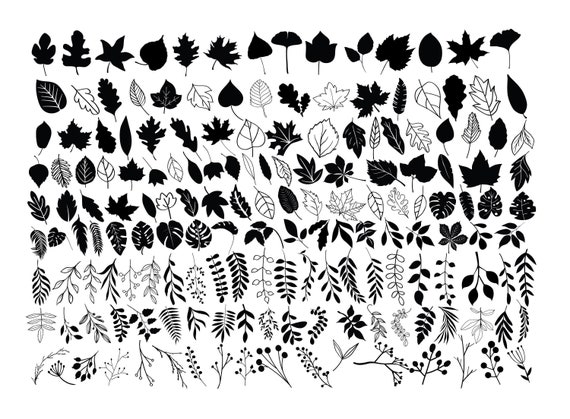 LEAF SVG Bundle LEAVES Svg Bundle Leaf Clipart Leaf Svg Cut | Etsy UK