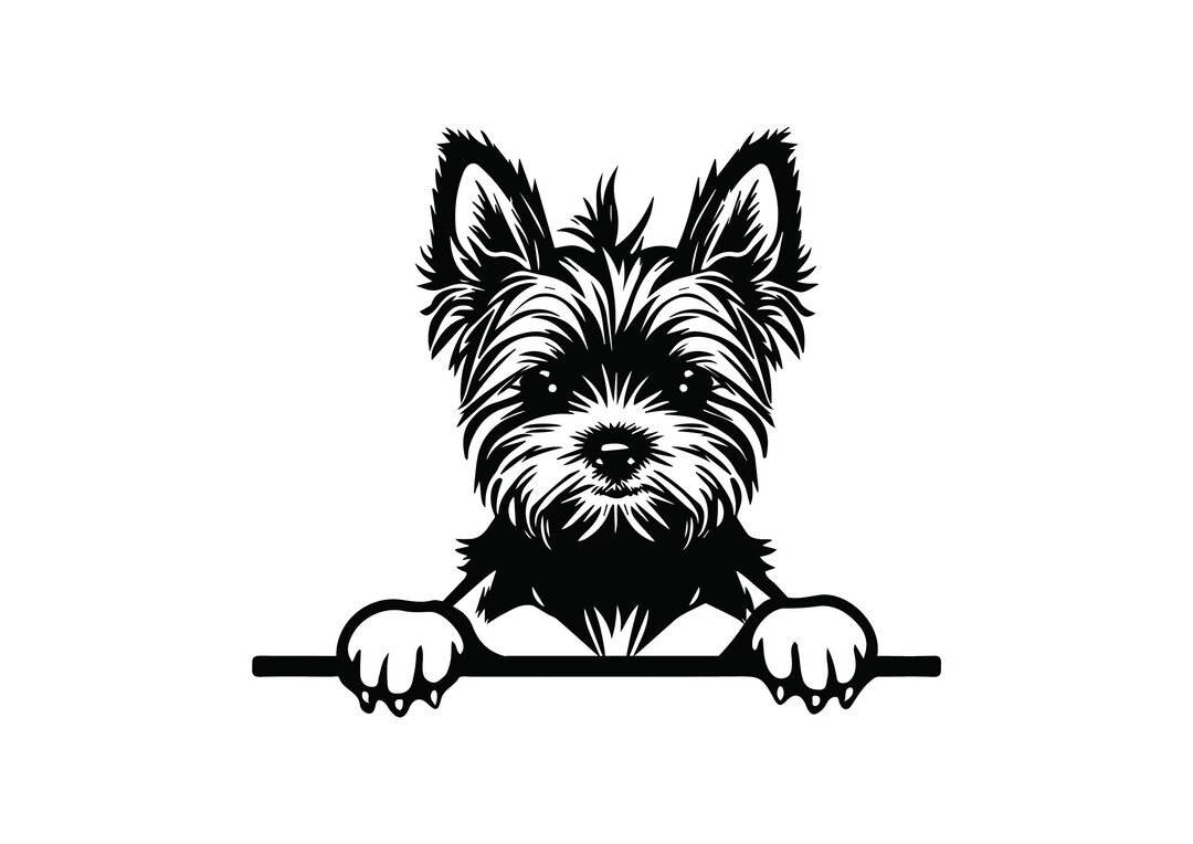 PEEKING YORKSHIRE TERRIER Svg, Peeking Yorkshire Terrier Svg Files for ...