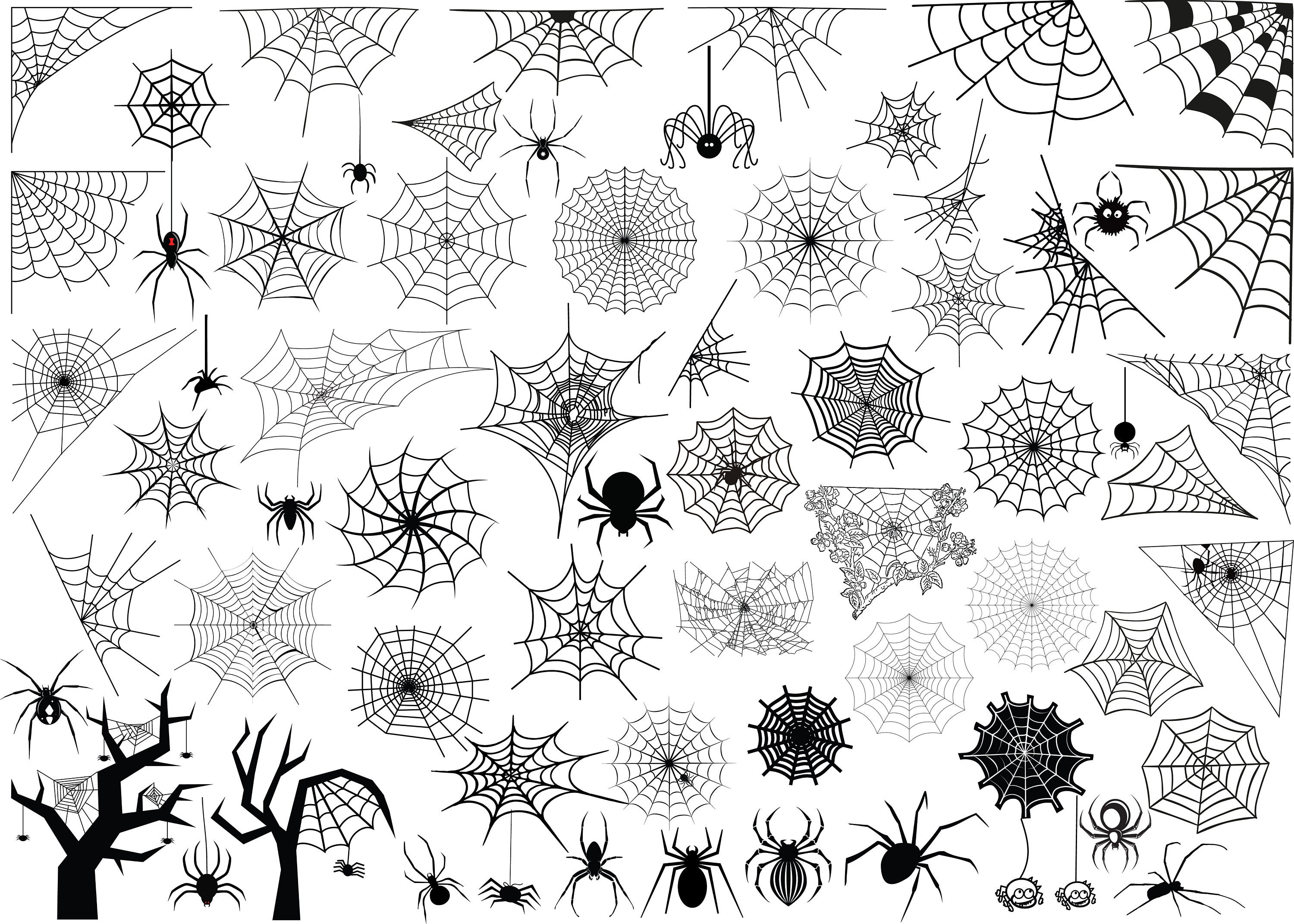 SPIDER WEB SVG Bundle Spider Web Clipart Spider Web Svg for - Etsy