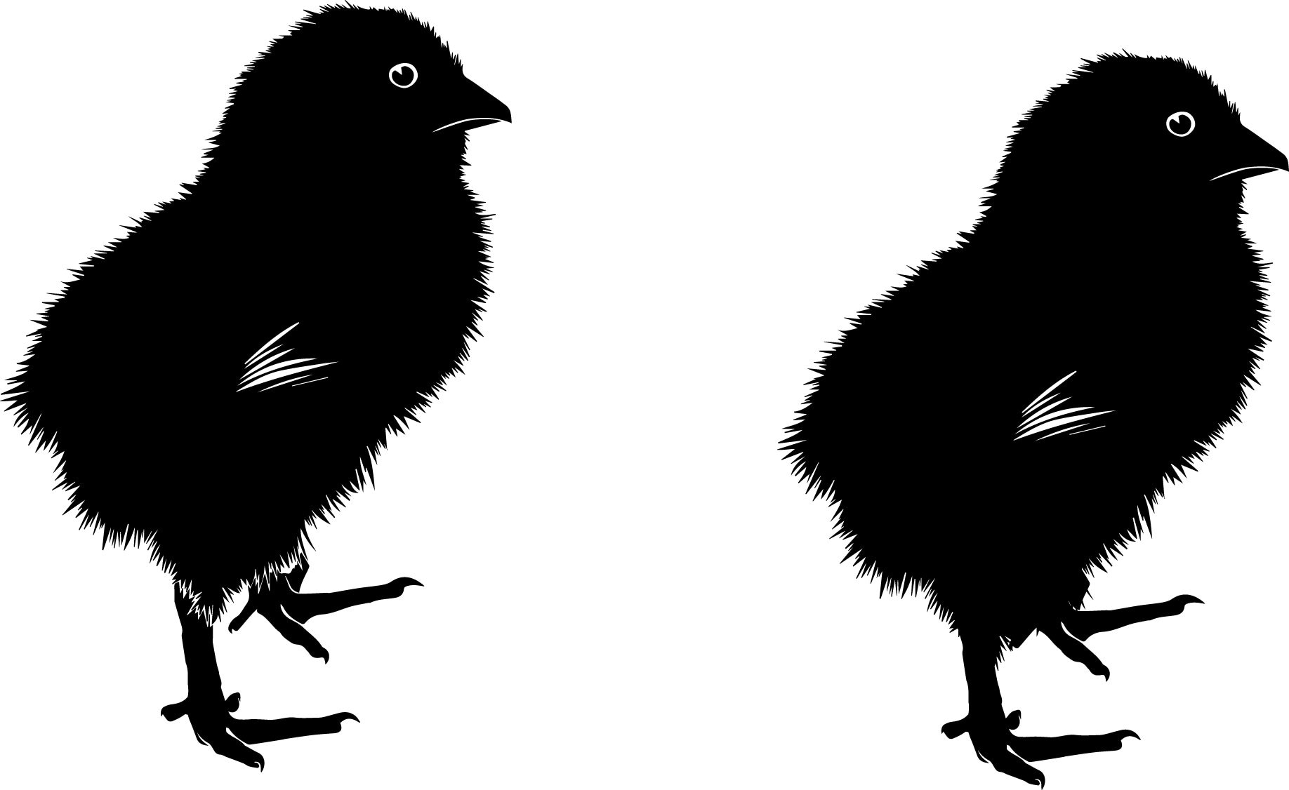 Baby Chicken Baby Chicken SVG SVG Files Cricut Silhouette - Etsy Canada