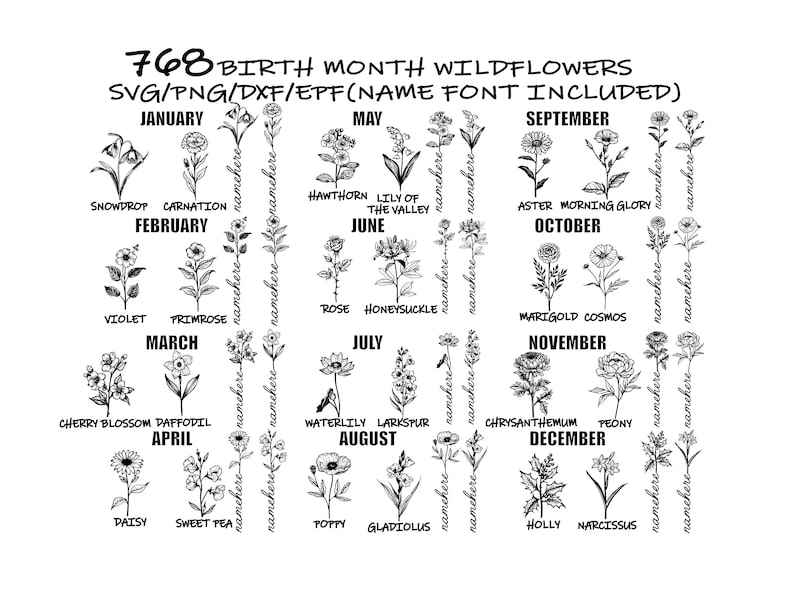 BIRTH MONTH WILDFLOWERS Svg, 768 Birth Month Wildflowers Graphics ...
