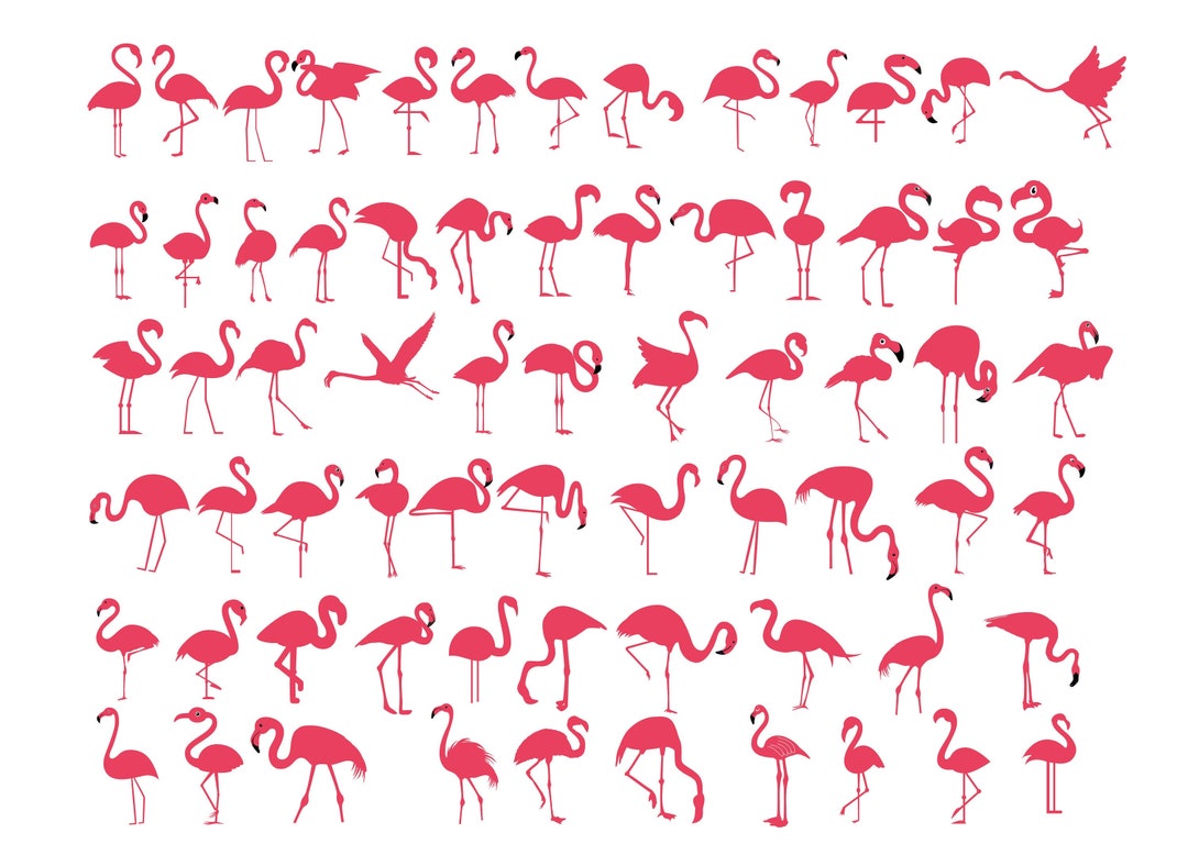 FLAMINGO Bundle SVG, FLAMINGO Clipart, Flamingo Svg Cut Files for ...