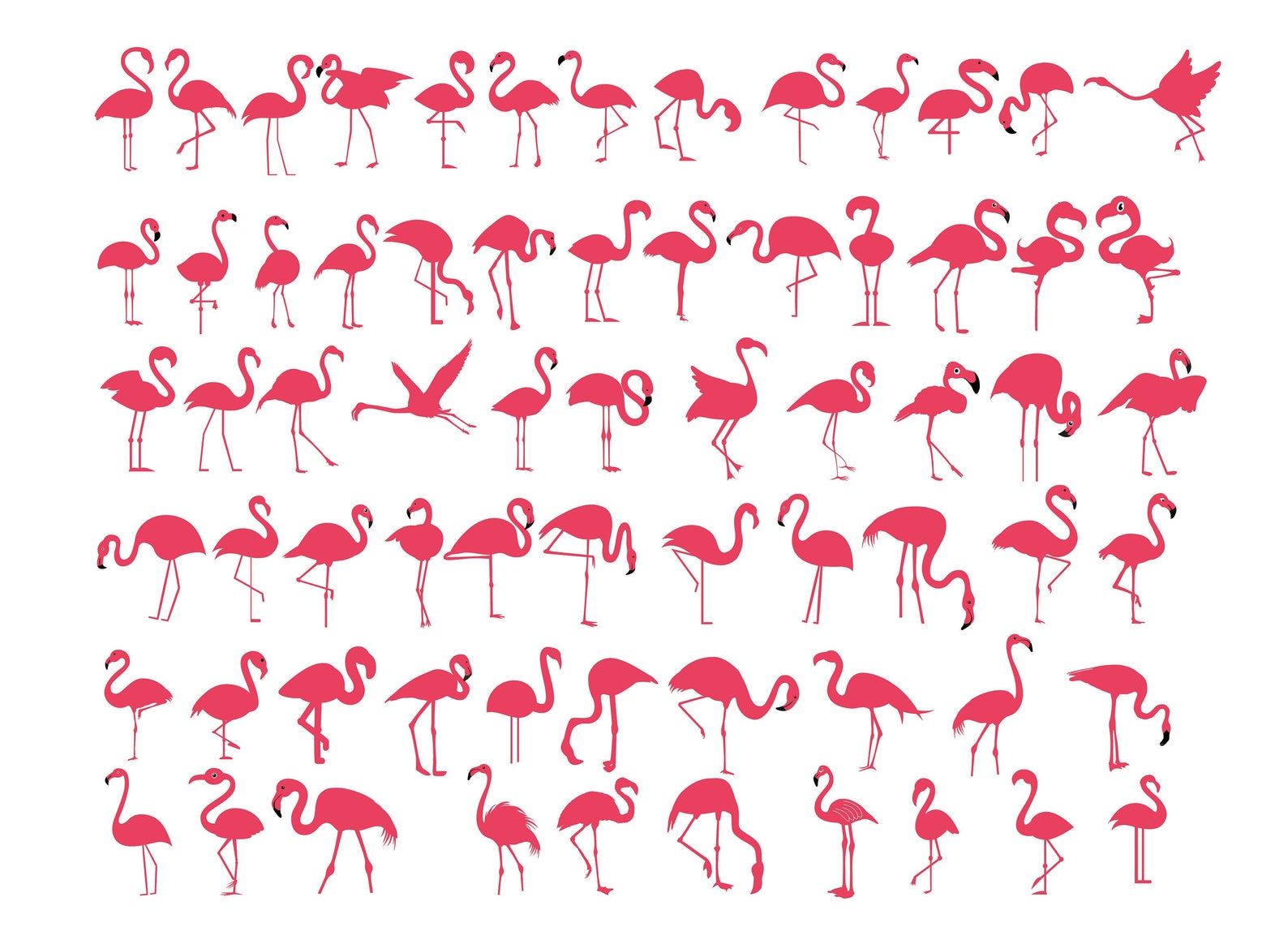FLAMINGO Bundle SVG, FLAMINGO Clipart, Flamingo Svg Cut Files for ...