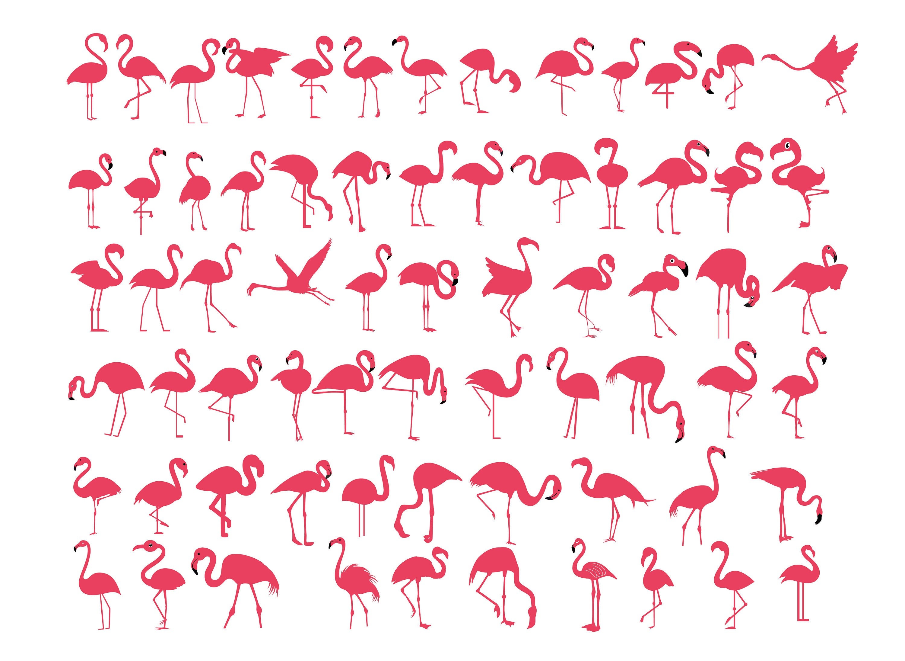 FLAMINGO Bundle SVG FLAMINGO Clipart Flamingo Svg Cut Files - Etsy
