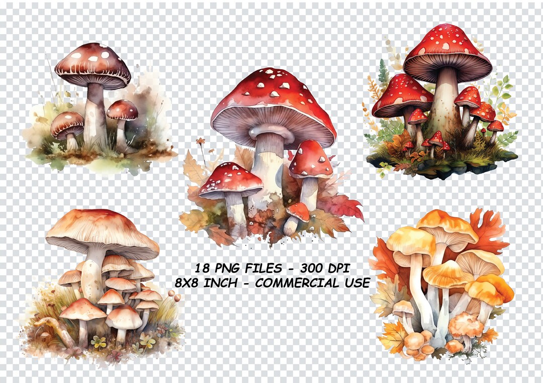 WATERCOLOR MUSHROOMS CLIPART, Watercolor Mushrooms Png for Commercial ...