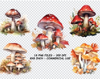 WATERCOLOR MUSHROOMS CLIPART, Watercolor Mushrooms Png for Commercial ...