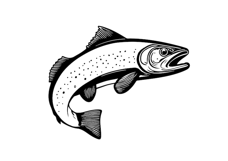TROUT SVG TROUT Svg Cut Files for Cricut Trout Clipart - Etsy