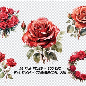 WATERCOLOR RED ROSES Clipart, Watercolor Red Roses Png Files ...