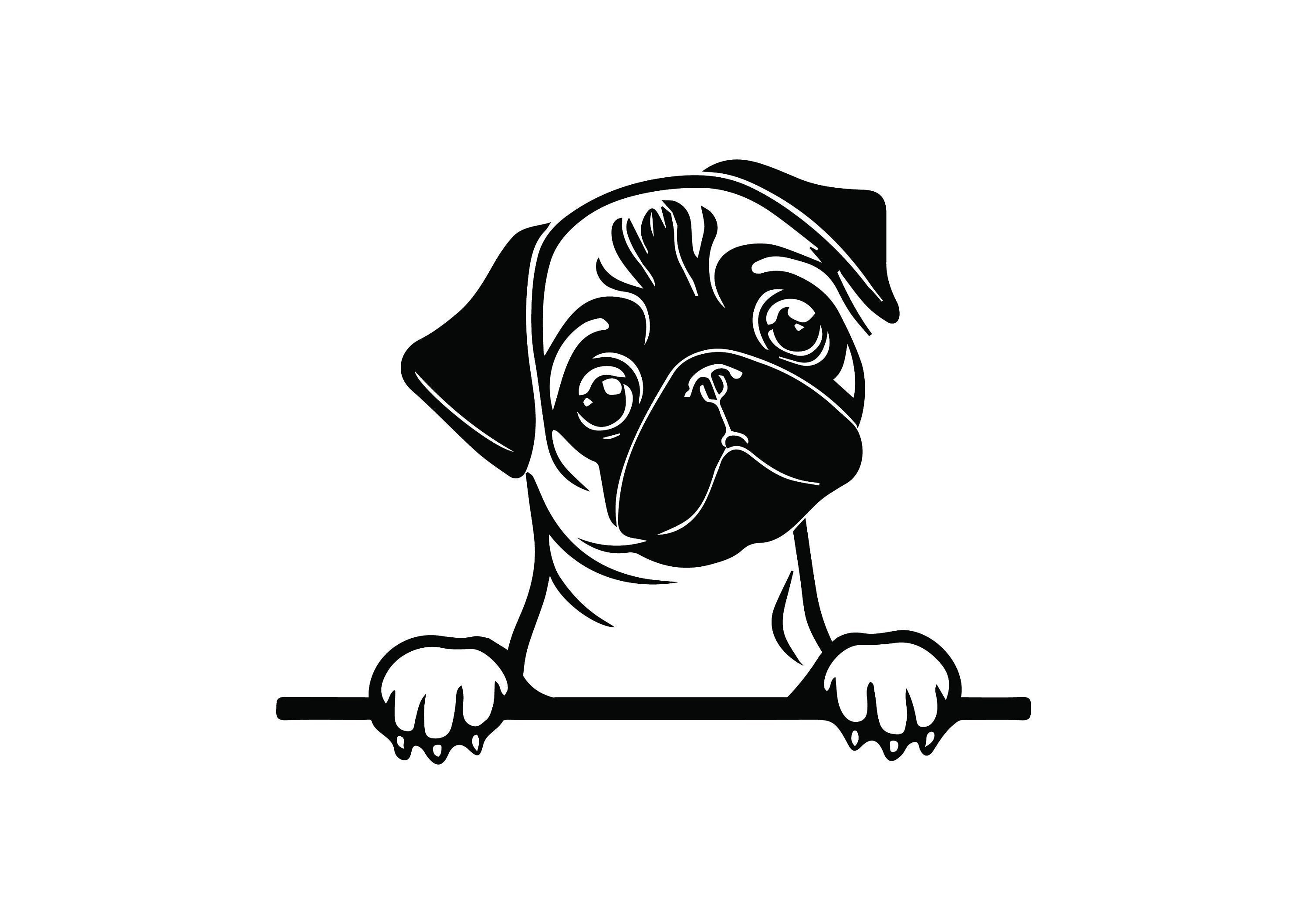 PEEKING PUG SVG Peeking Pug Clipart Peeking Pug Svg Files - Etsy