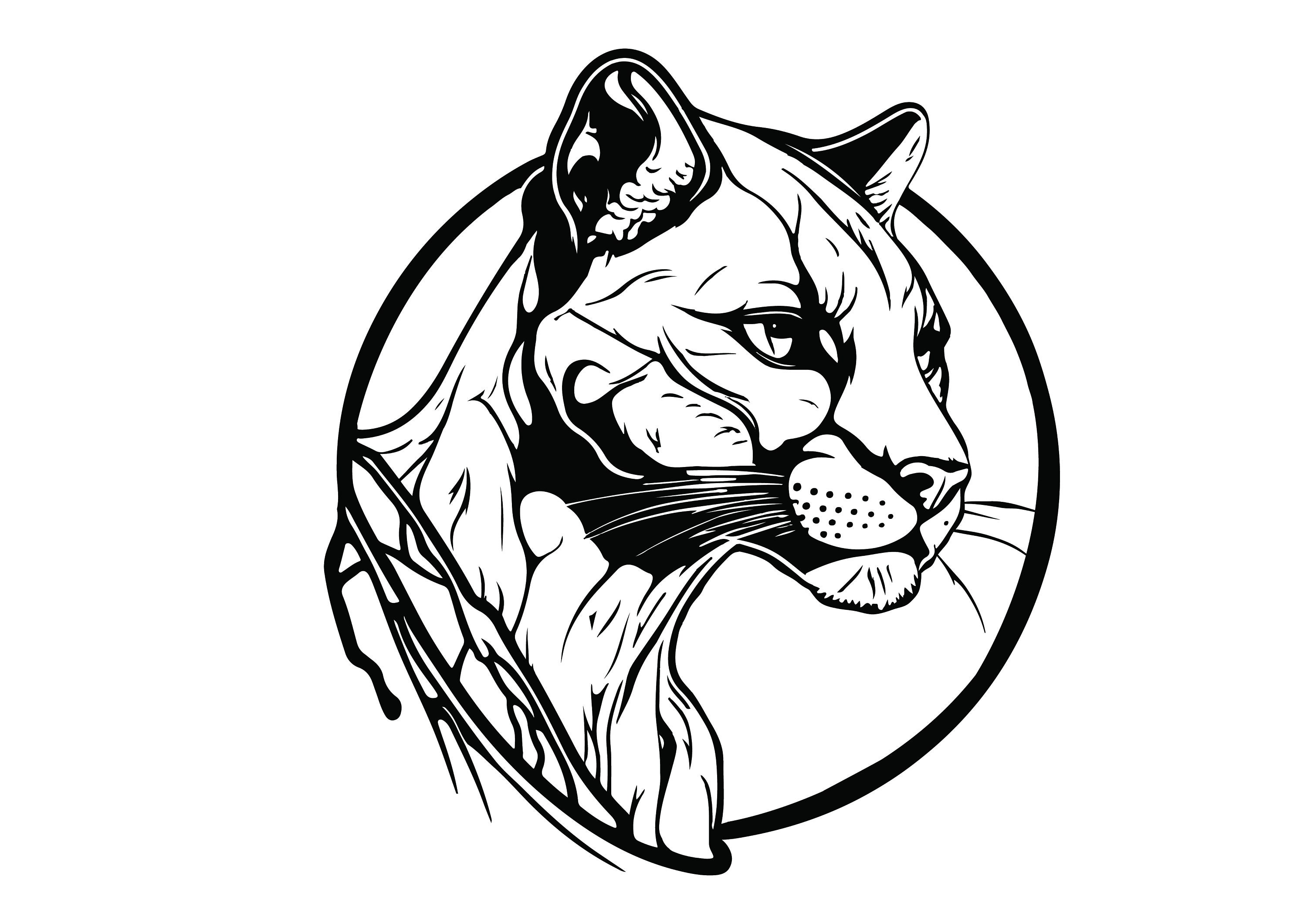 Cougar Face Outline