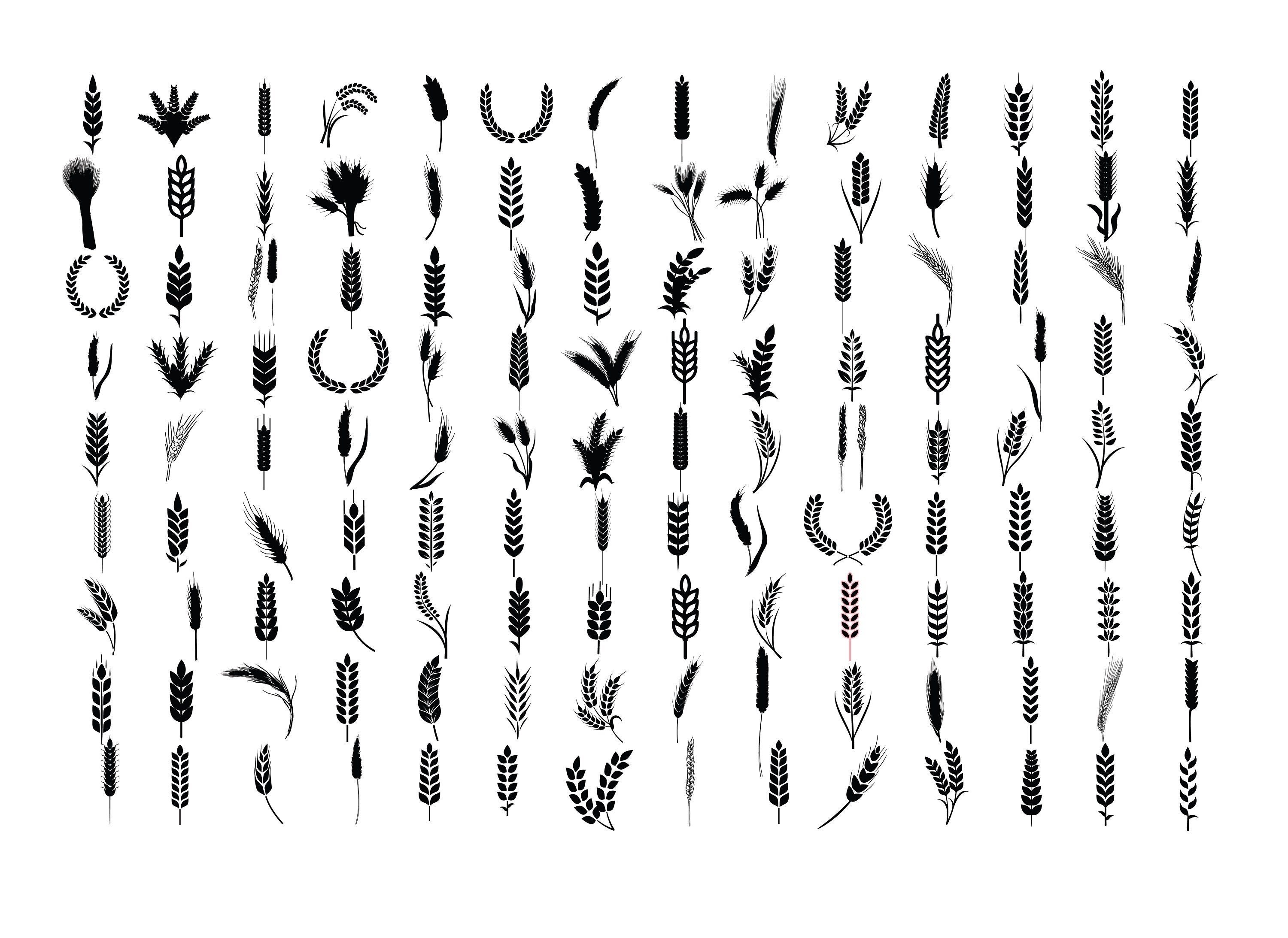 WHEAT SVG Bundle GRAIN Svg Cut Files for Cricut Wheat - Etsy Canada