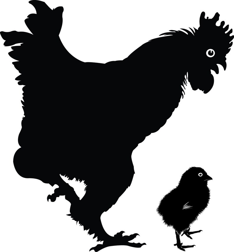 Poule, poule SVG, fichiers SVG poule, fichiers SVG, Cricut, silhouette ...