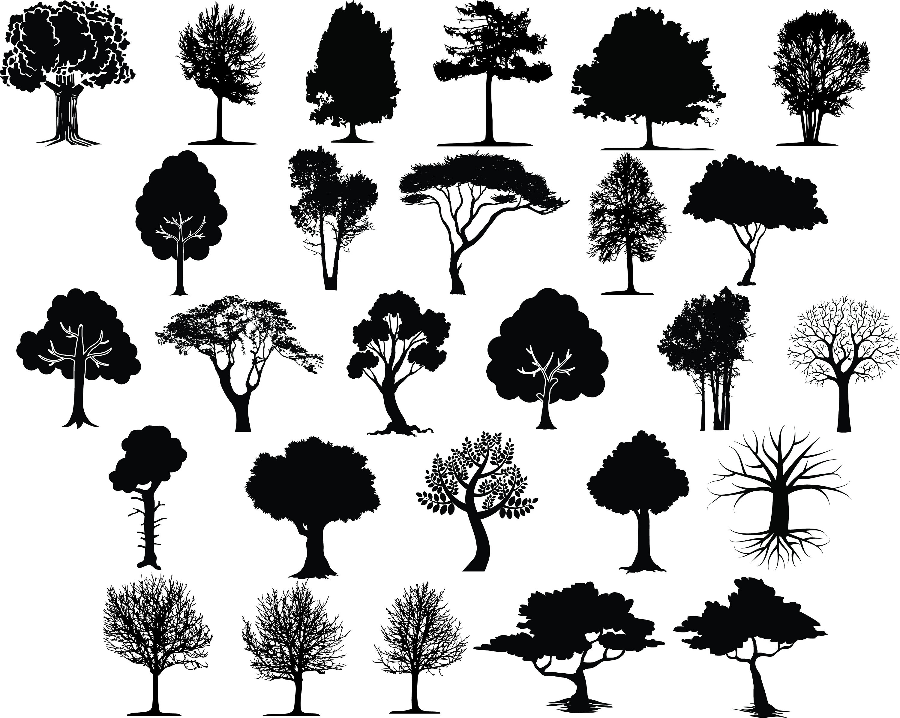 TREE SILHOUETTE SVG Bundle Tree Cut Files for Cricut Forest | Etsy