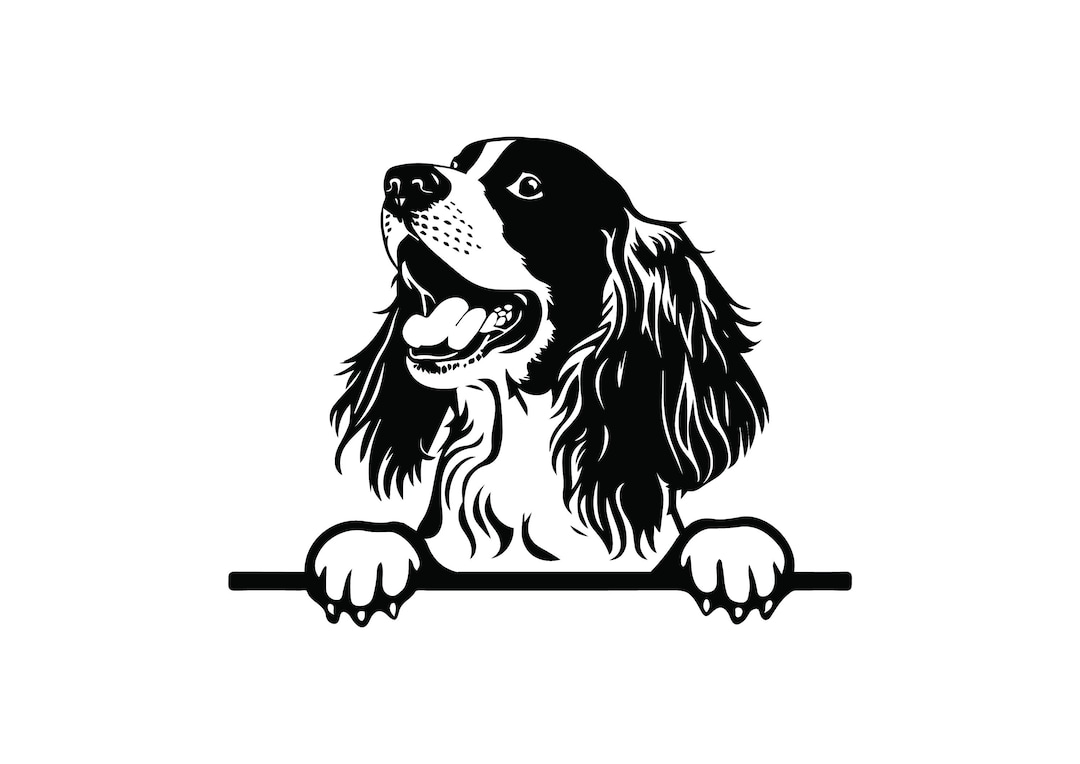 PEEKING ENGLISH SPRINGER Spaniel Svg, Peeking English Springer Spaniel ...