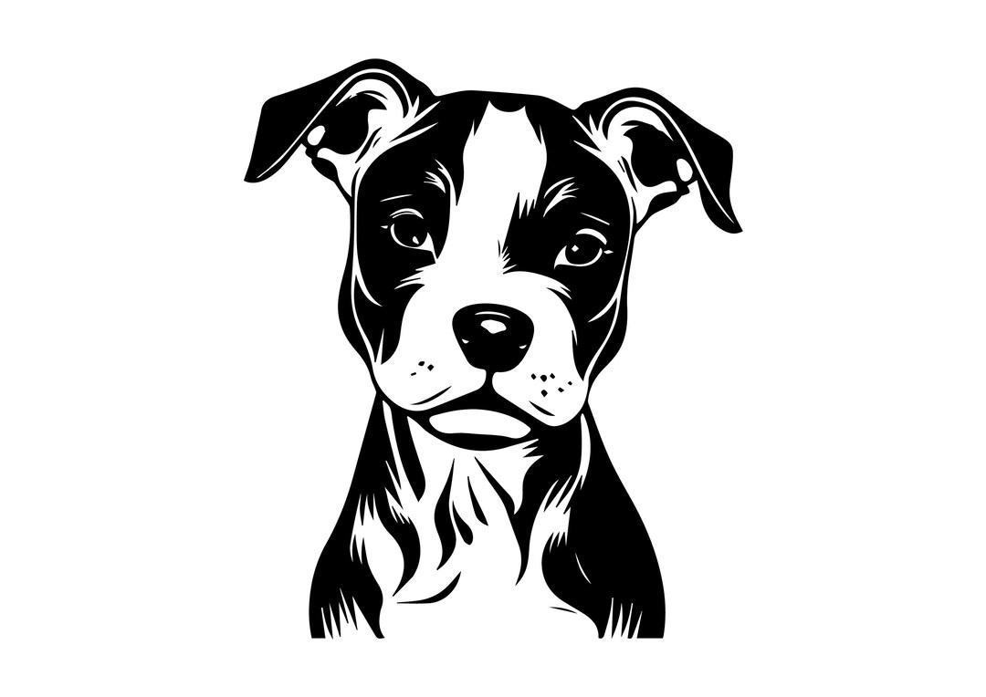 PITBULL SVG, PITBULL Clipart, Pitbull Svg Files for Cricut, Pitbull ...