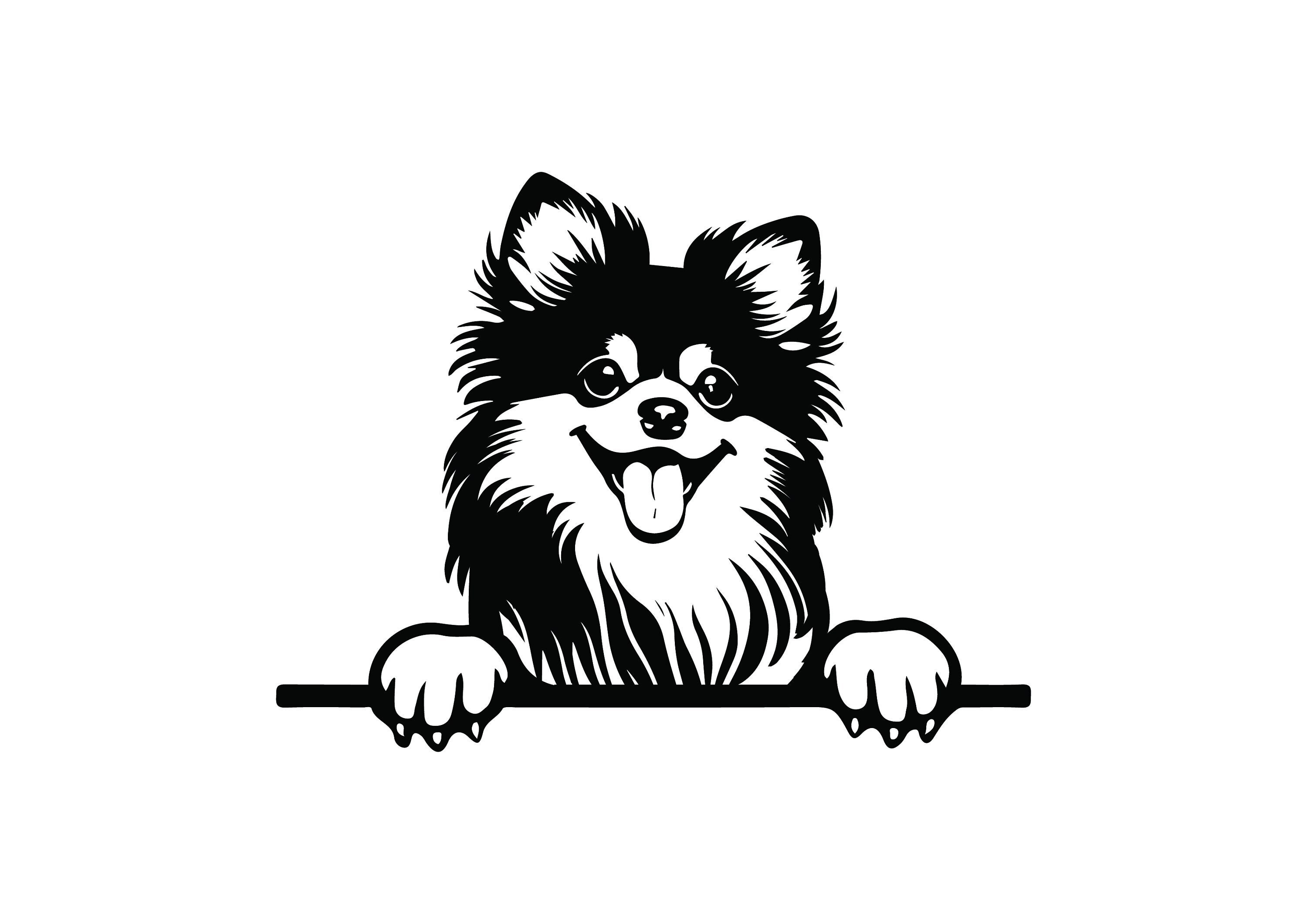 PEEKING POMERANIAN SVG, Peeking Pomeranian Clipart, Peeking Pomeranian ...