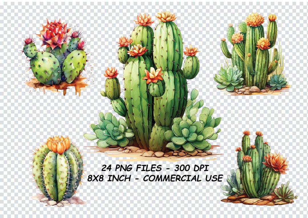 WATERCOLOR CACTUS CLIPART, Watercolor Cactus Clipart Png Files ...