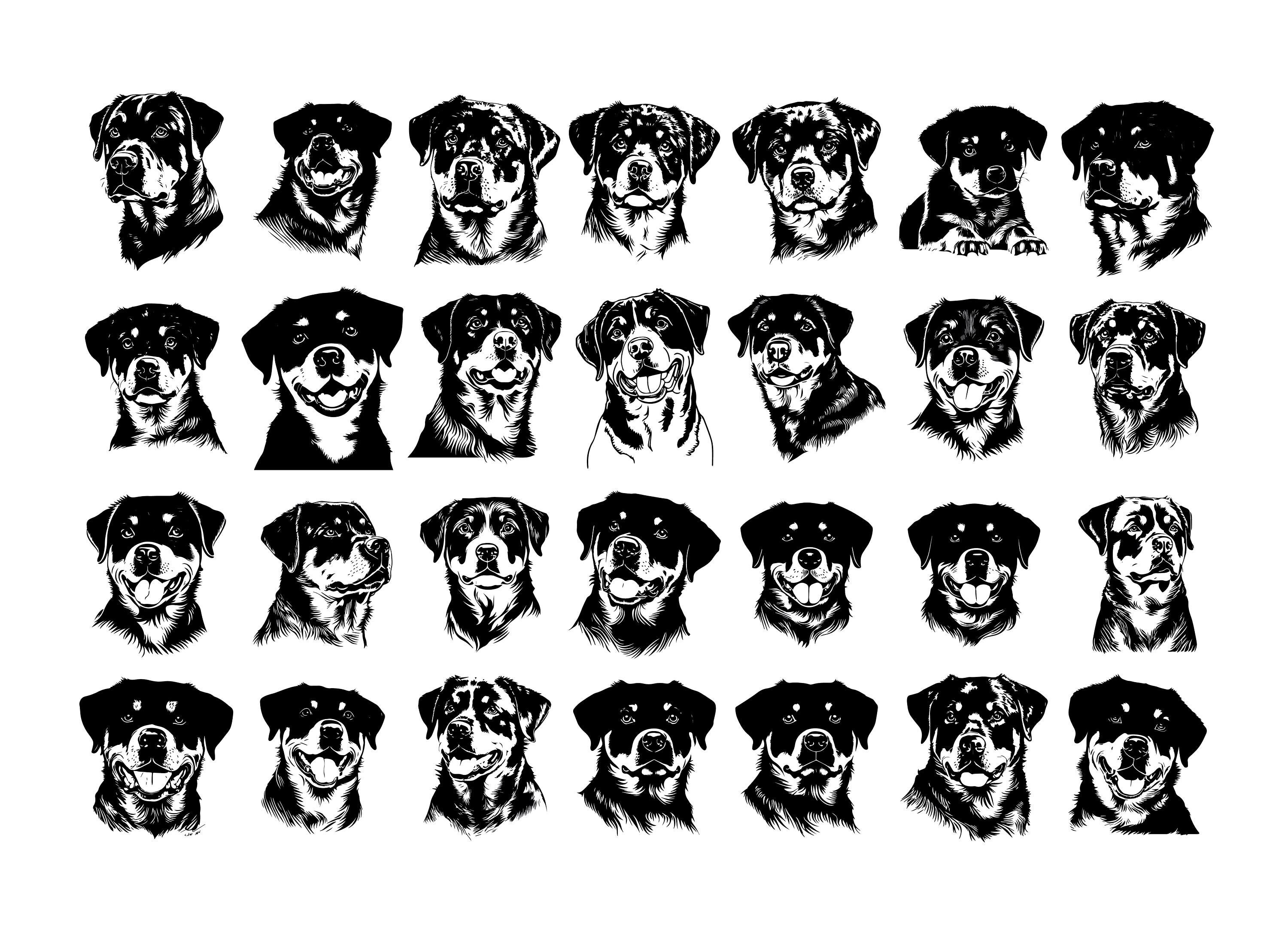 ROTTWEILER HEAD SVG, Rottweiler Head Clipart, Rottweiler Svg Cut Files ...