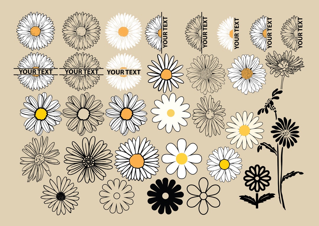 DAISY SVG, DAISY Flower Clipart, Daisy Svg Cut Files for Cricut, Daisy ...