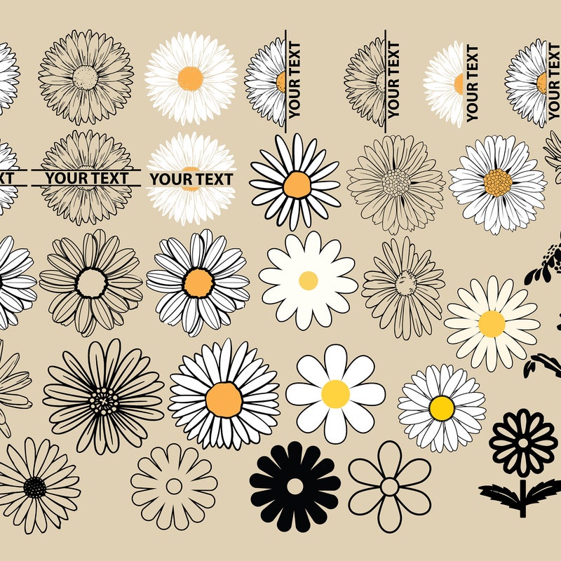 White Daisy Svg - Etsy