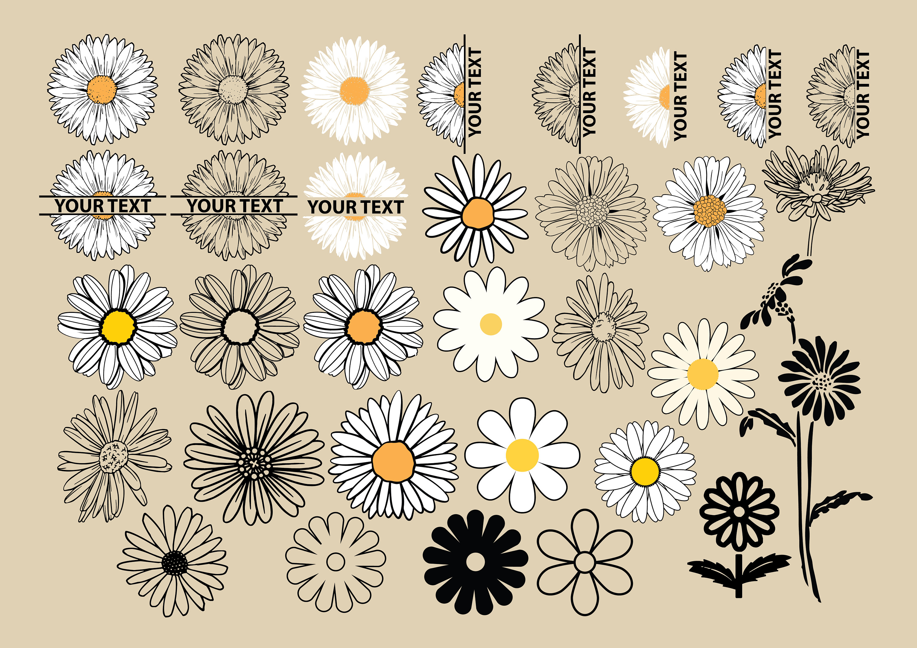 DAISY SVG DAISY Flower Clipart Daisy Svg Cut Files for - Etsy Israel