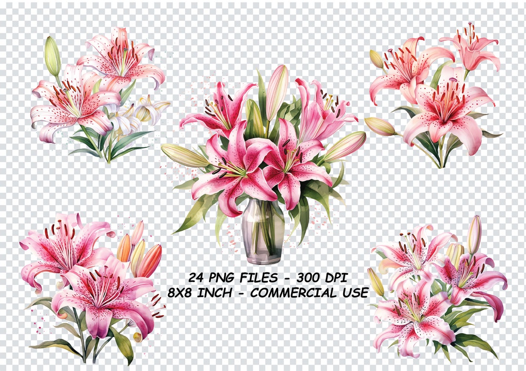Watercolor PINK TIGER LILY Clipart, Watercolor Pink Tiger Lily Png ...