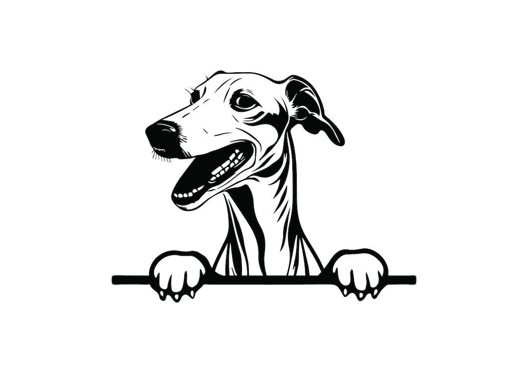 PEEKING GREYHOUND SVG, Peeking Greyhound Clipart, Peeking Greyhound Svg ...