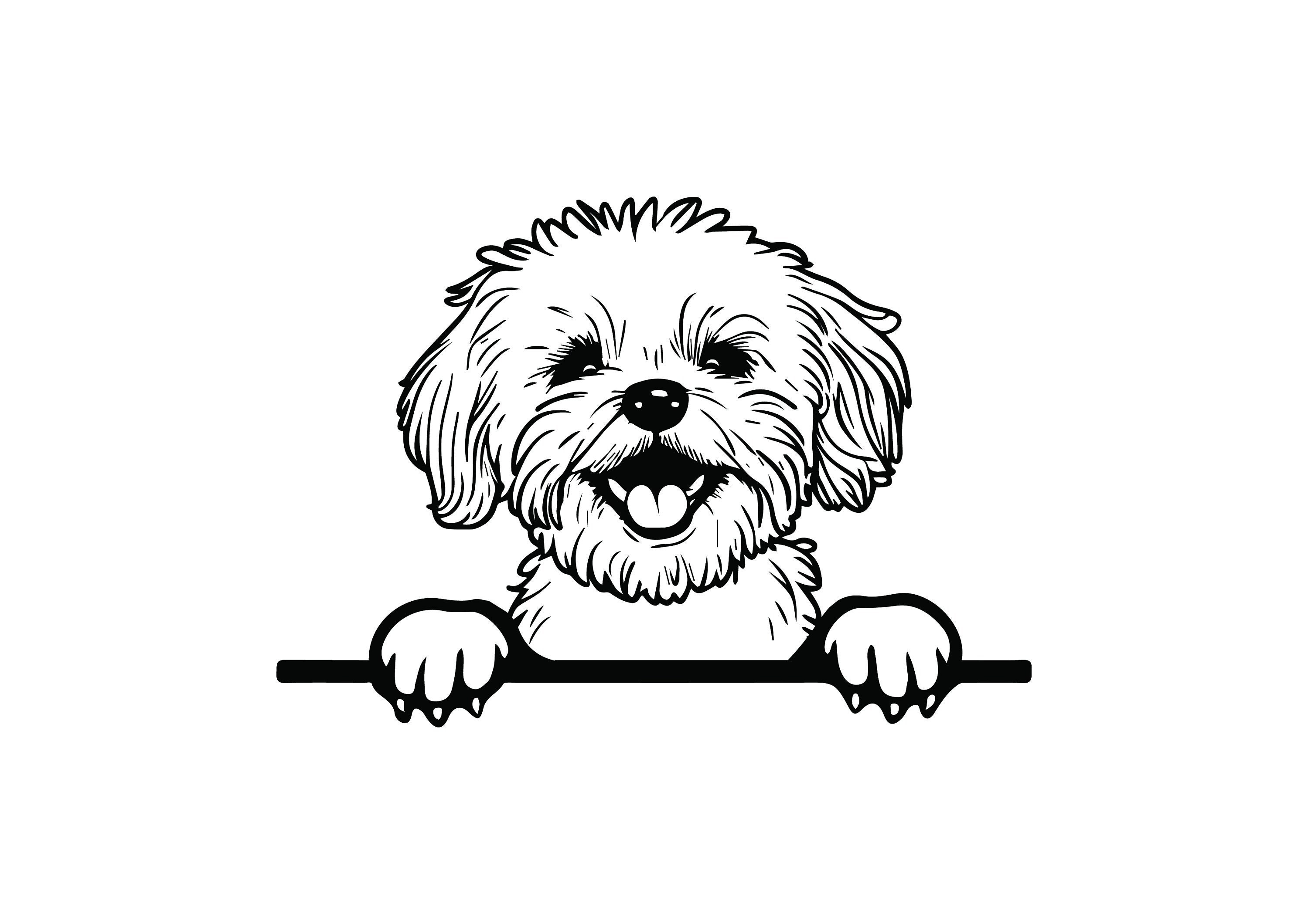 PEEKING MALTESE SVG, Peeking Maltese Clipart, Peeking Maltese Svg Files ...