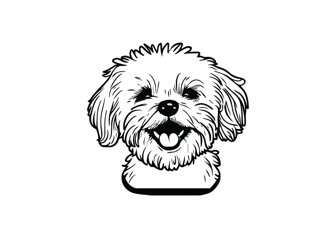 MALTESE HEAD SVG, Maltese Head Clipart, Maltese Head Svg Files for ...