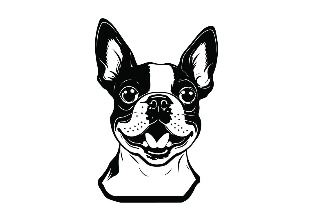 BOSTON TERRIER HEAD Svg, Boston Terrier Head Clipart, Boston Terrier ...