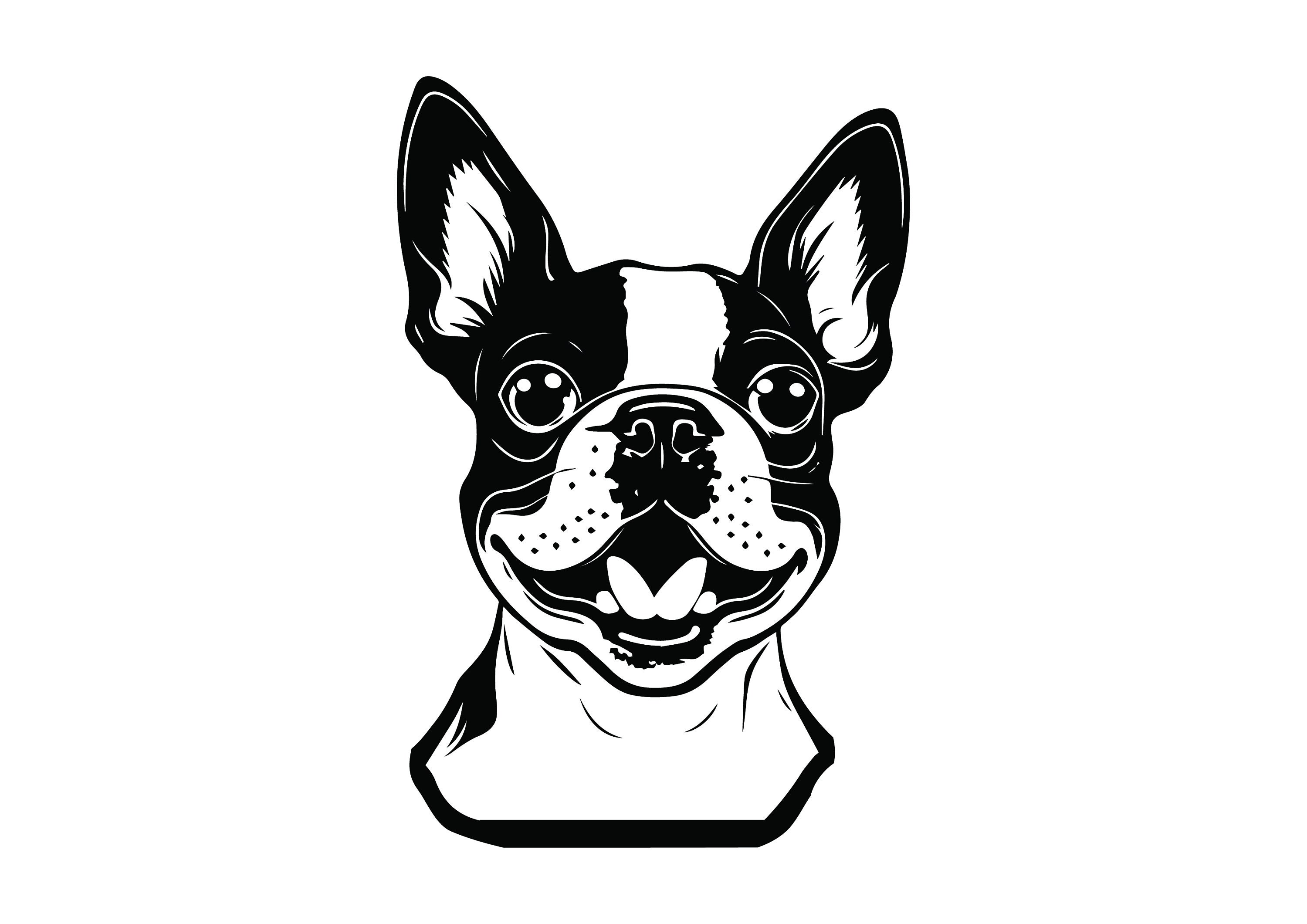 Boston Terrier Face Drawing