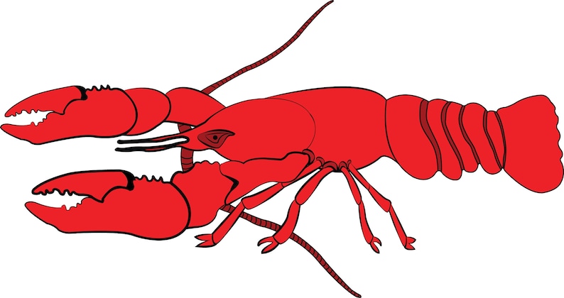 Crawfish, Cut File, Clip Art, SVG, Cricut, Silhouette Cameo, Scanncut ...