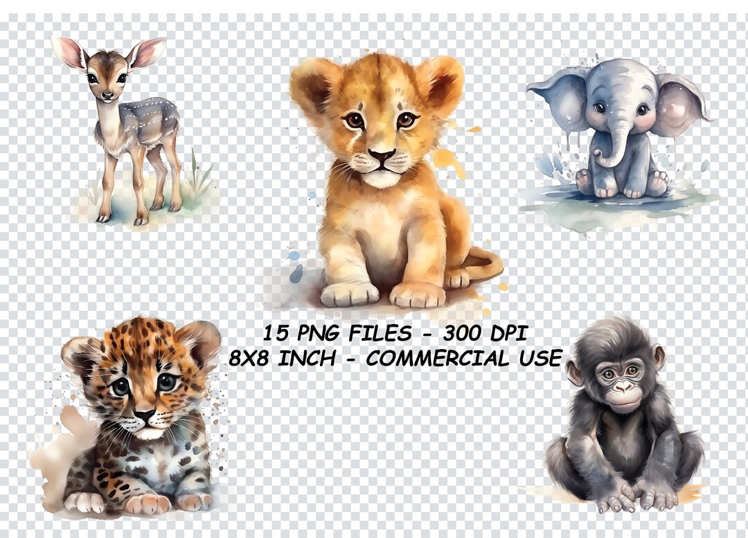 SAFARI BABY ANIMALS Watercolor Clipart, Jpgs, Safari Baby Animals Png ...