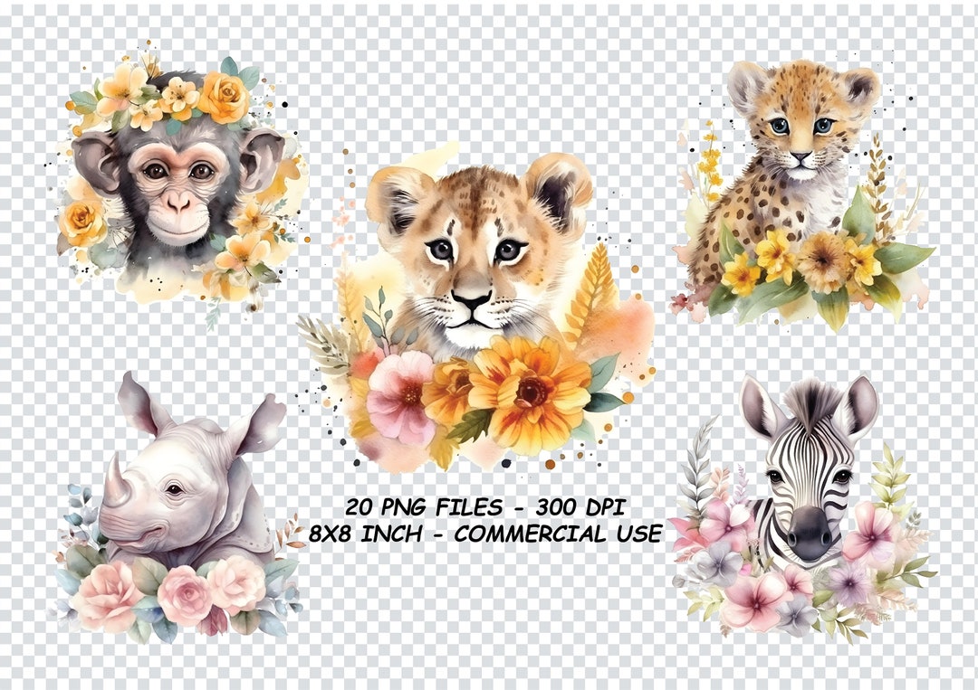 SAFARI BABY ANIMALS Watercolor Clipart, Jpgs, Safari Baby Animals Png ...