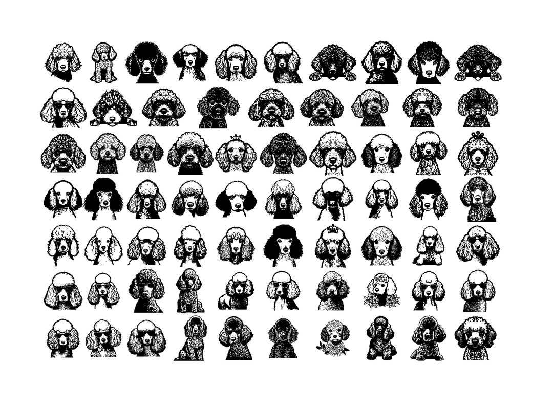 Poodle Svg Poodle Clipart Poodle Svg Cut Files For Cricut Poodle Head Svg Poodle Silhouette
